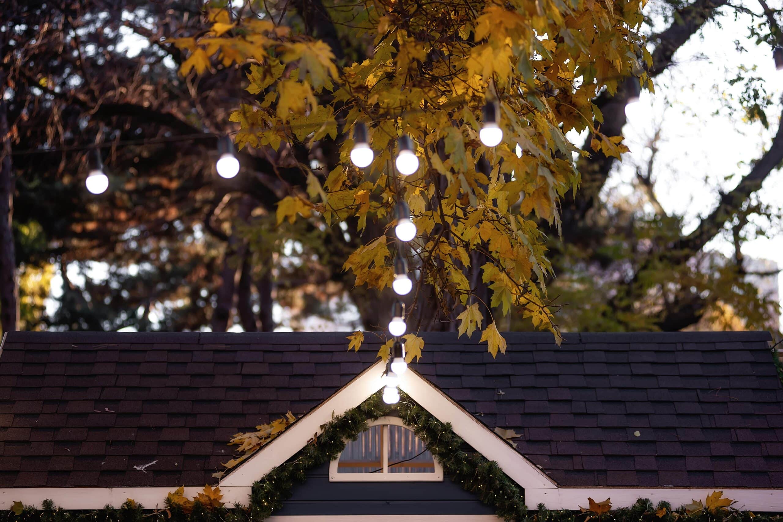 4 Tips for Holiday Light Installation On Your Roof